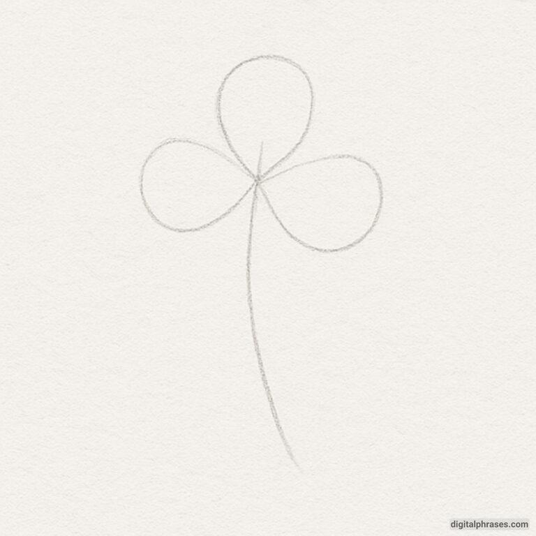 How To Draw a Clover Plant