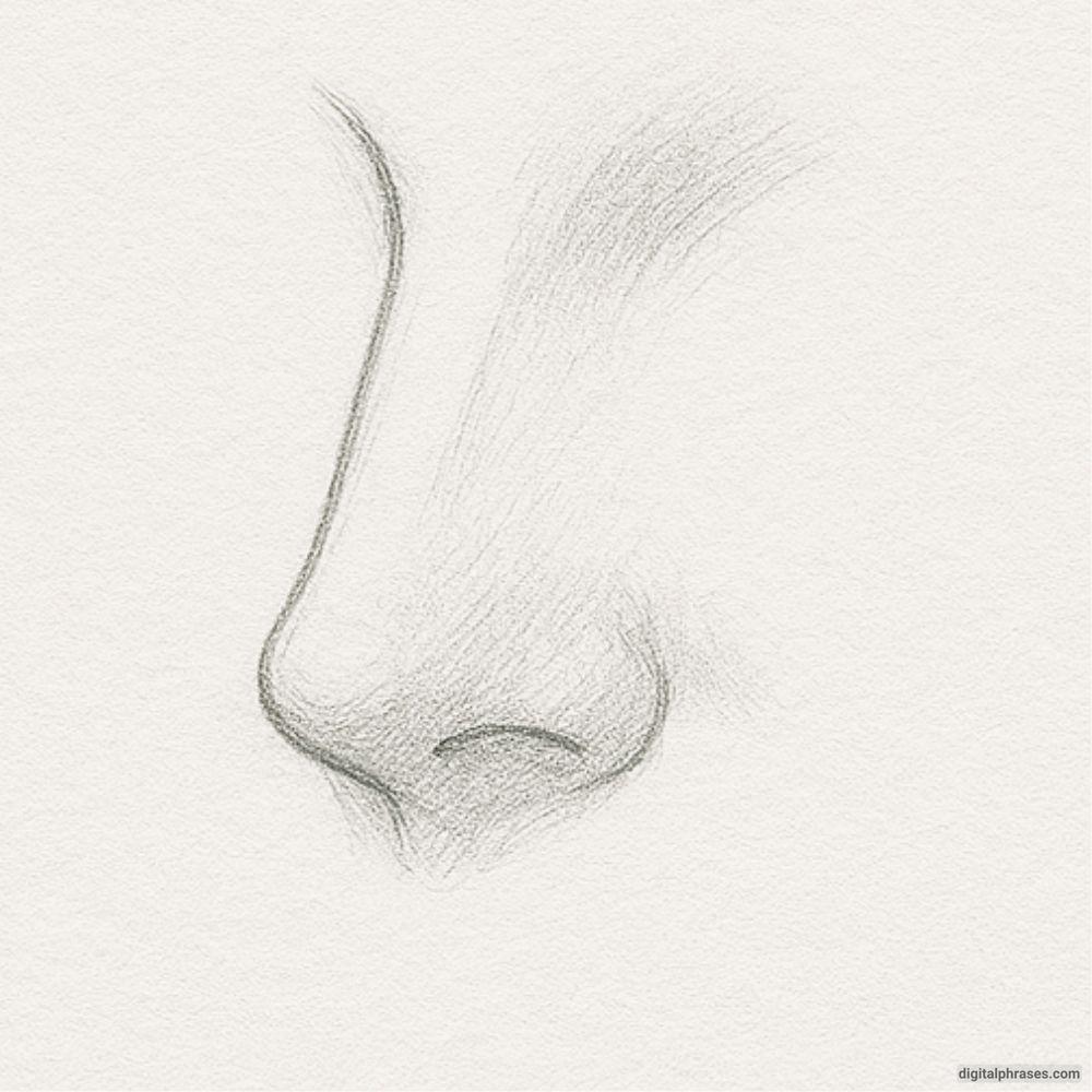 How to Draw an Anime Nose