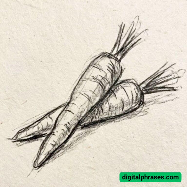 22 Carrot Drawing Ideas