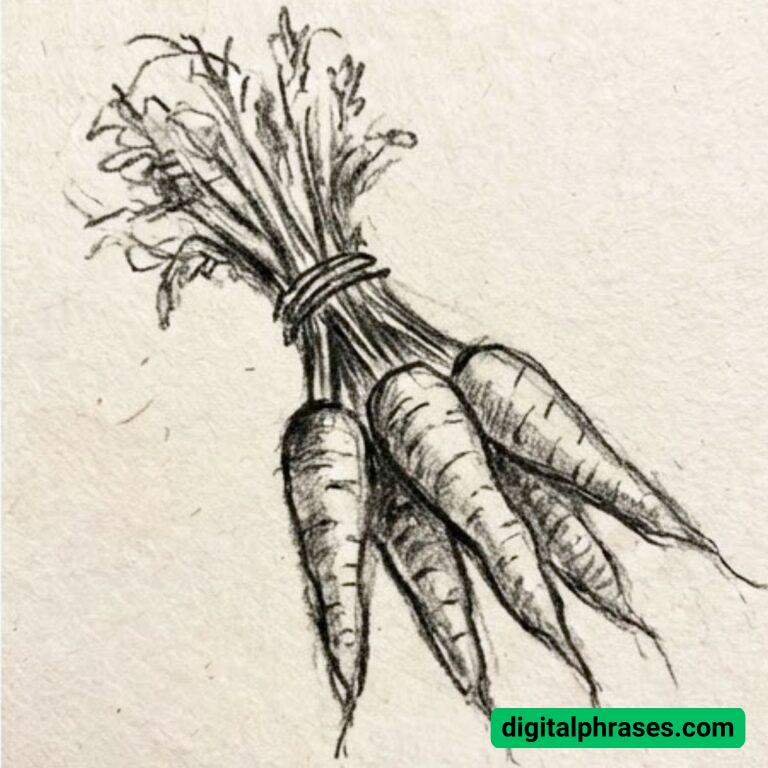 22 Carrot Drawing Ideas